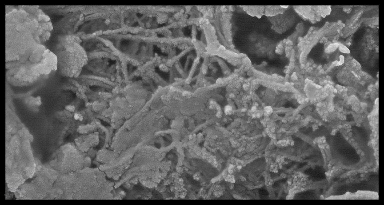 “calcospherites” – TDO University